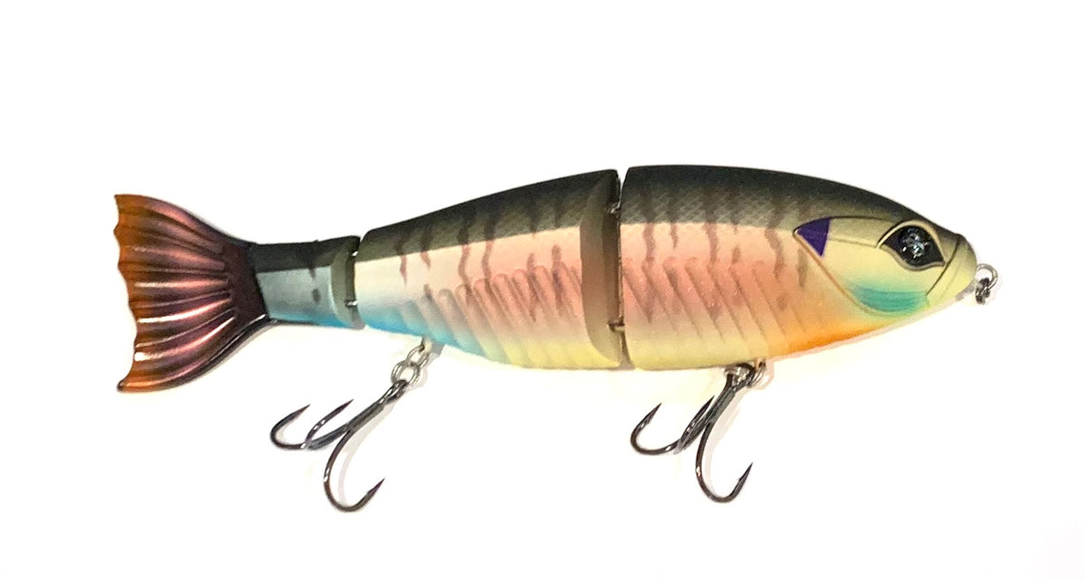 Googan Squad Contender – Clearlake Bait & Tackle